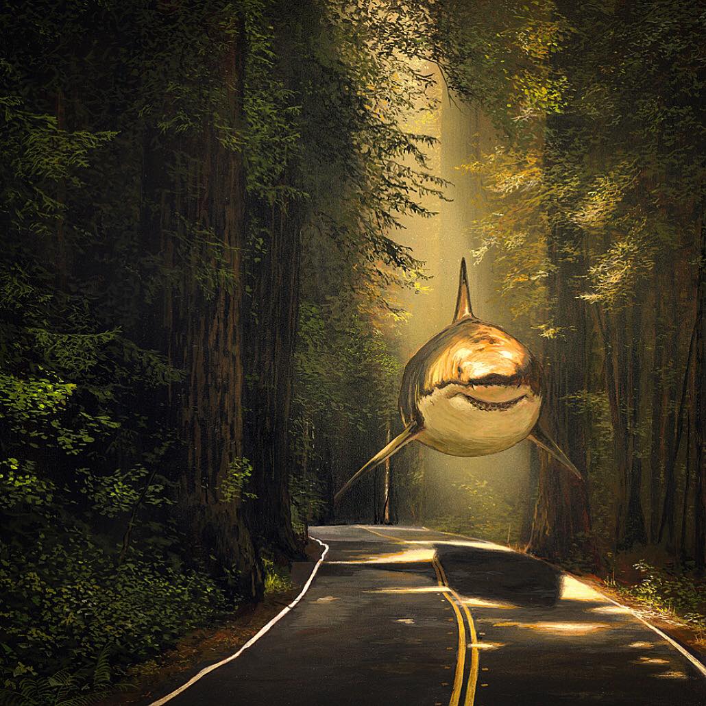 Chris Austin – VAN LANDEGHEM GALLERY